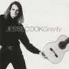 Gravity | JesseCook.com